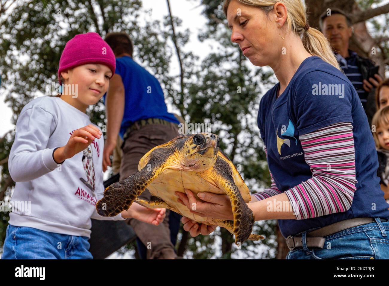 Ravka hi-res stock photography and images - Alamy