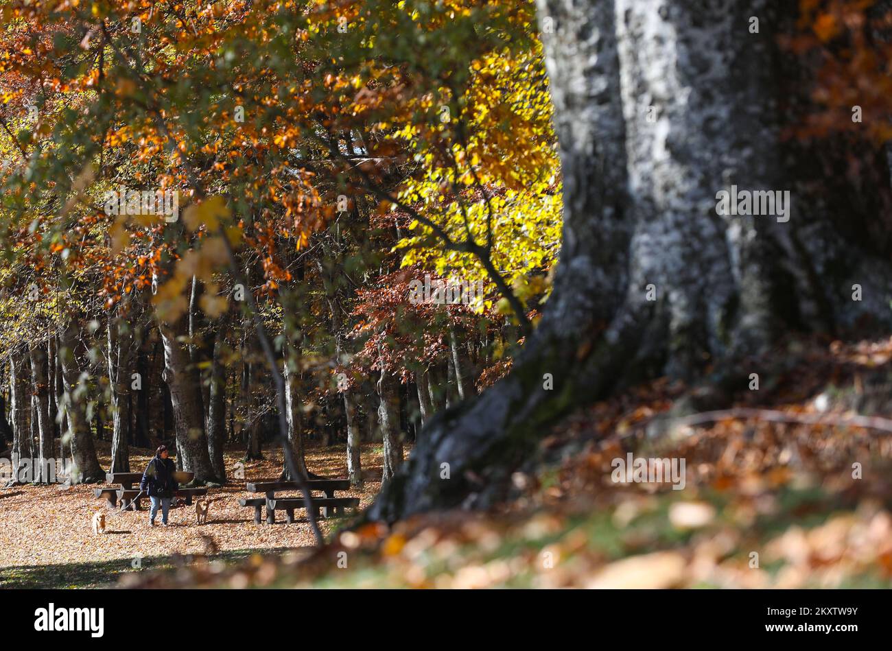 People enjoy a sunny autumn day at Medvednica nature park in Zagreb ...