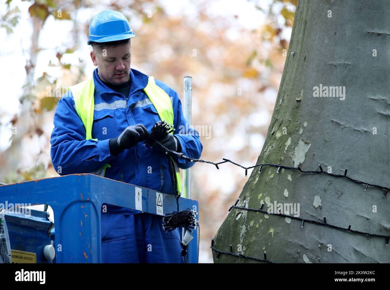 Platana tree hi-res stock photography and images - Alamy