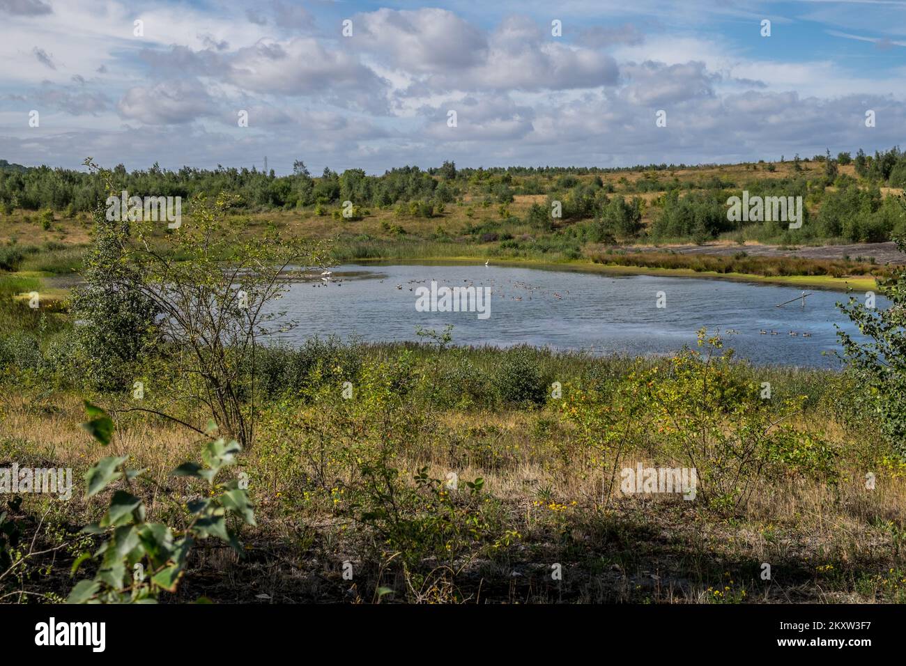 Faiburn ings hi-res stock photography and images - Alamy