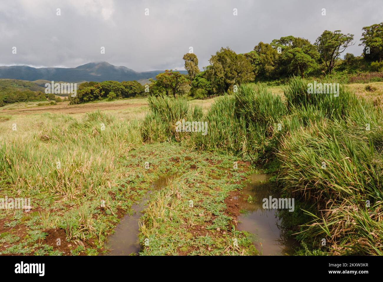 Scenic view of Table Mountain in Chogoria Route, Mount Kenya National ...
