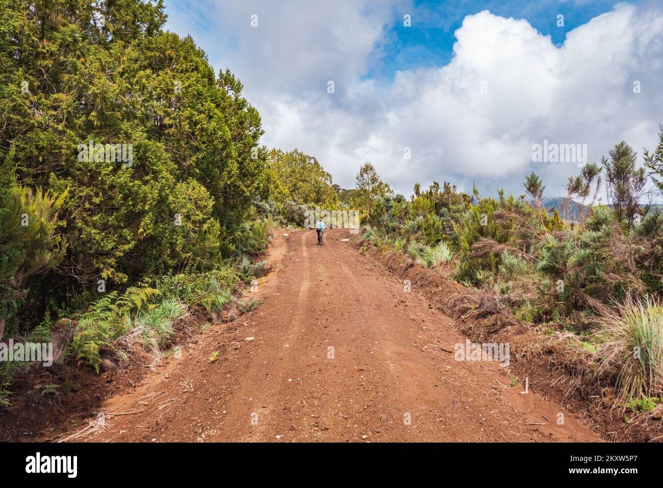 Rear view of a hiker on a dirt road at Chogoria Route, Mount Kenya ...