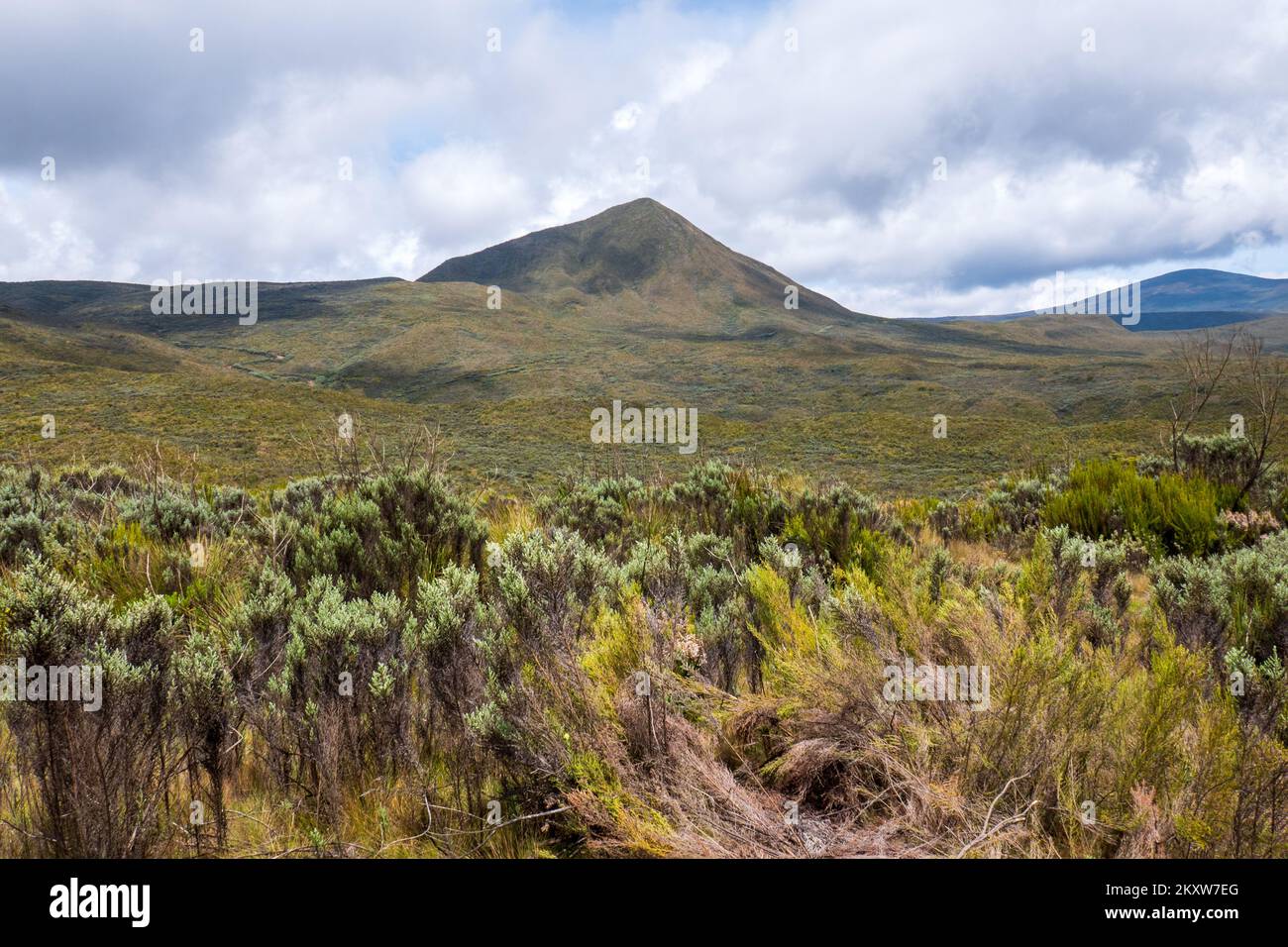 Scenic view of Mugi Hill in Chogoria Route, Mount Kenya National Park ...