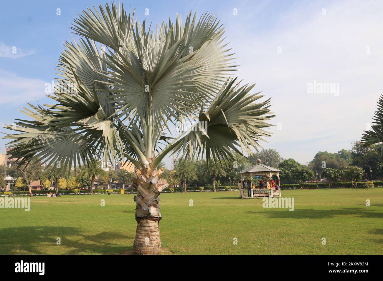 Pathway in garden resort hi-res stock photography and images - Alamy