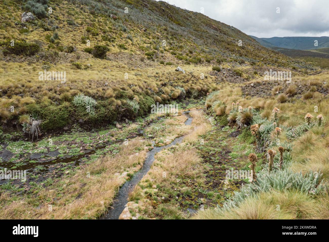 Scenic view of Nithi River in Chogoria Route, Mount Kenya National Park ...
