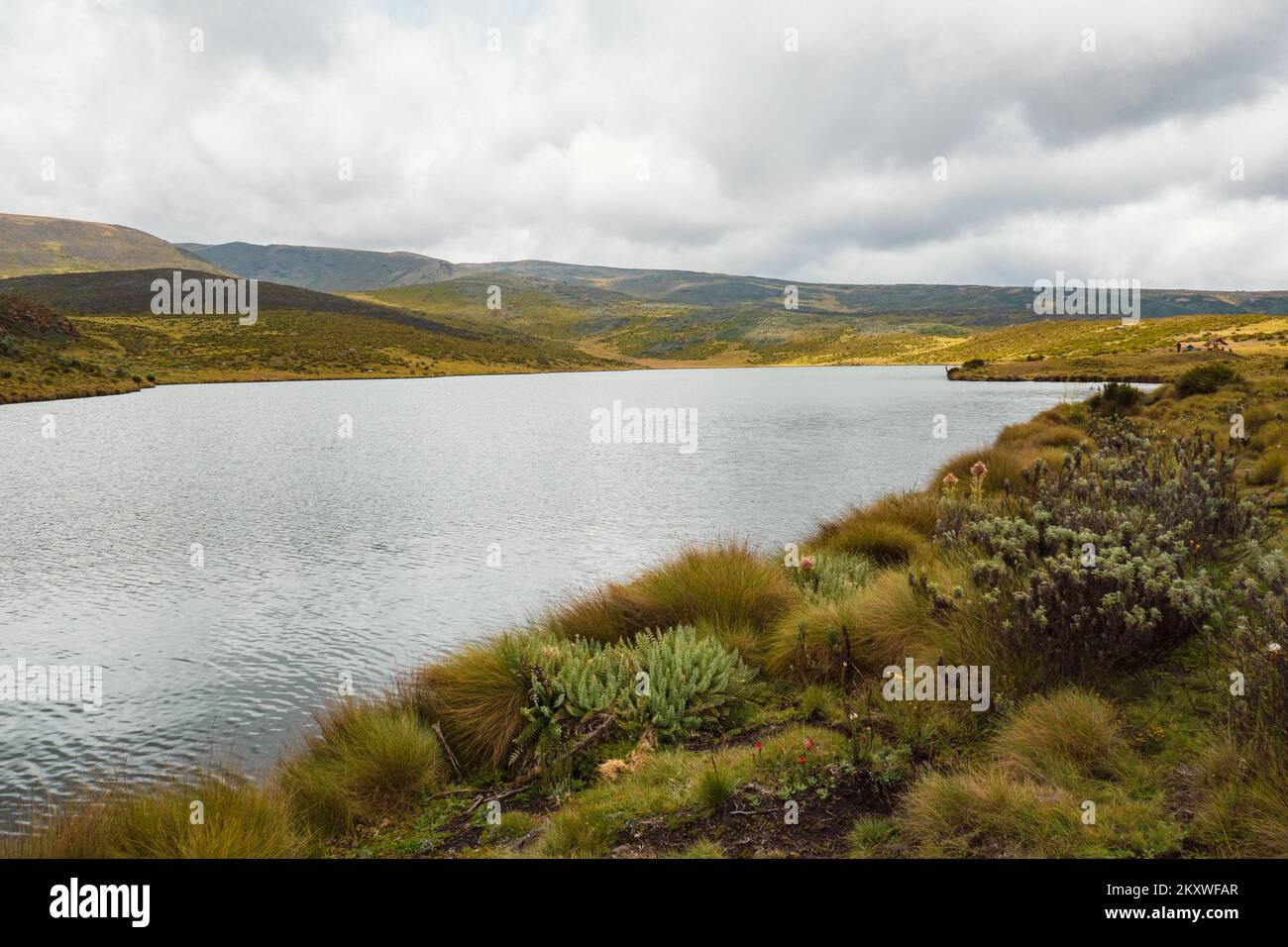 Scenic view of Lake Ellis on Chogoria Route, Mount Kenya National Park ...