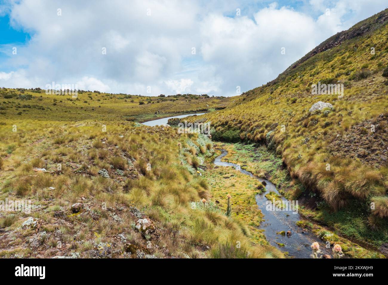 Scenic view of Nithi River in Chogoria Route, Mount Kenya National Park ...