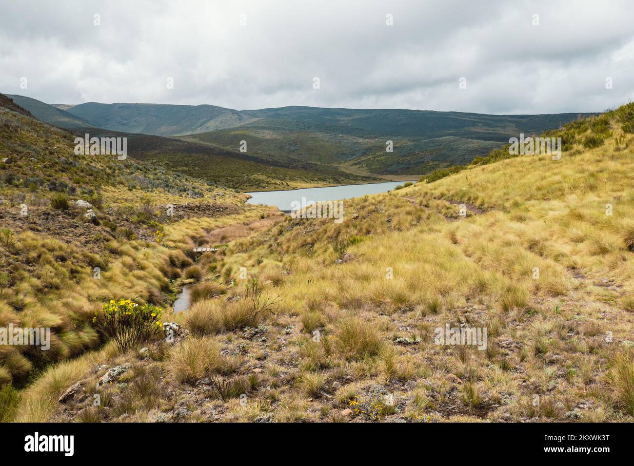 Scenic view of Lake Ellis on Chogoria Route, Mount Kenya National Park ...