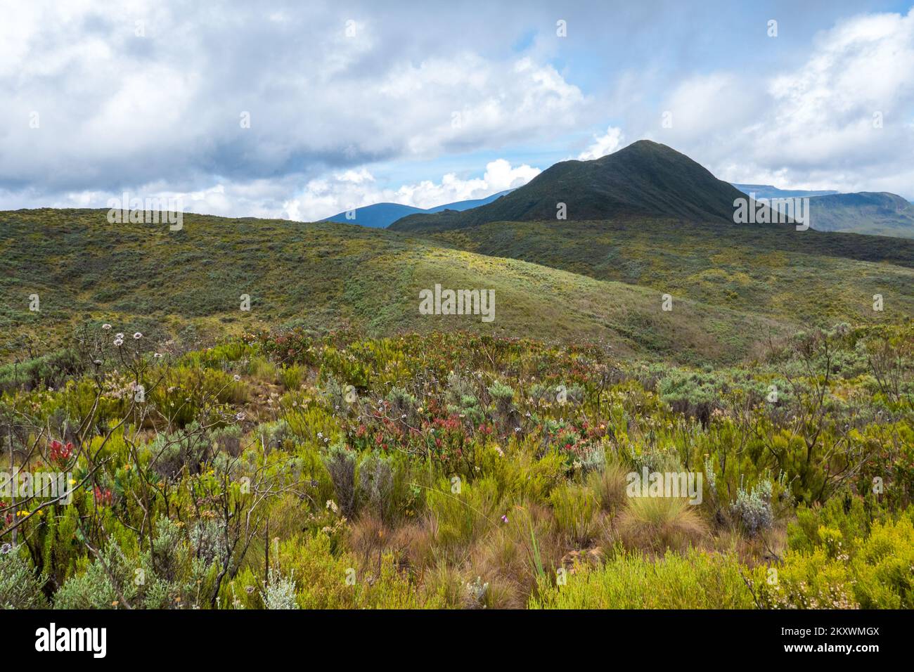 Scenic view of Mugi Hill in Chogoria Route, Mount Kenya National Park ...