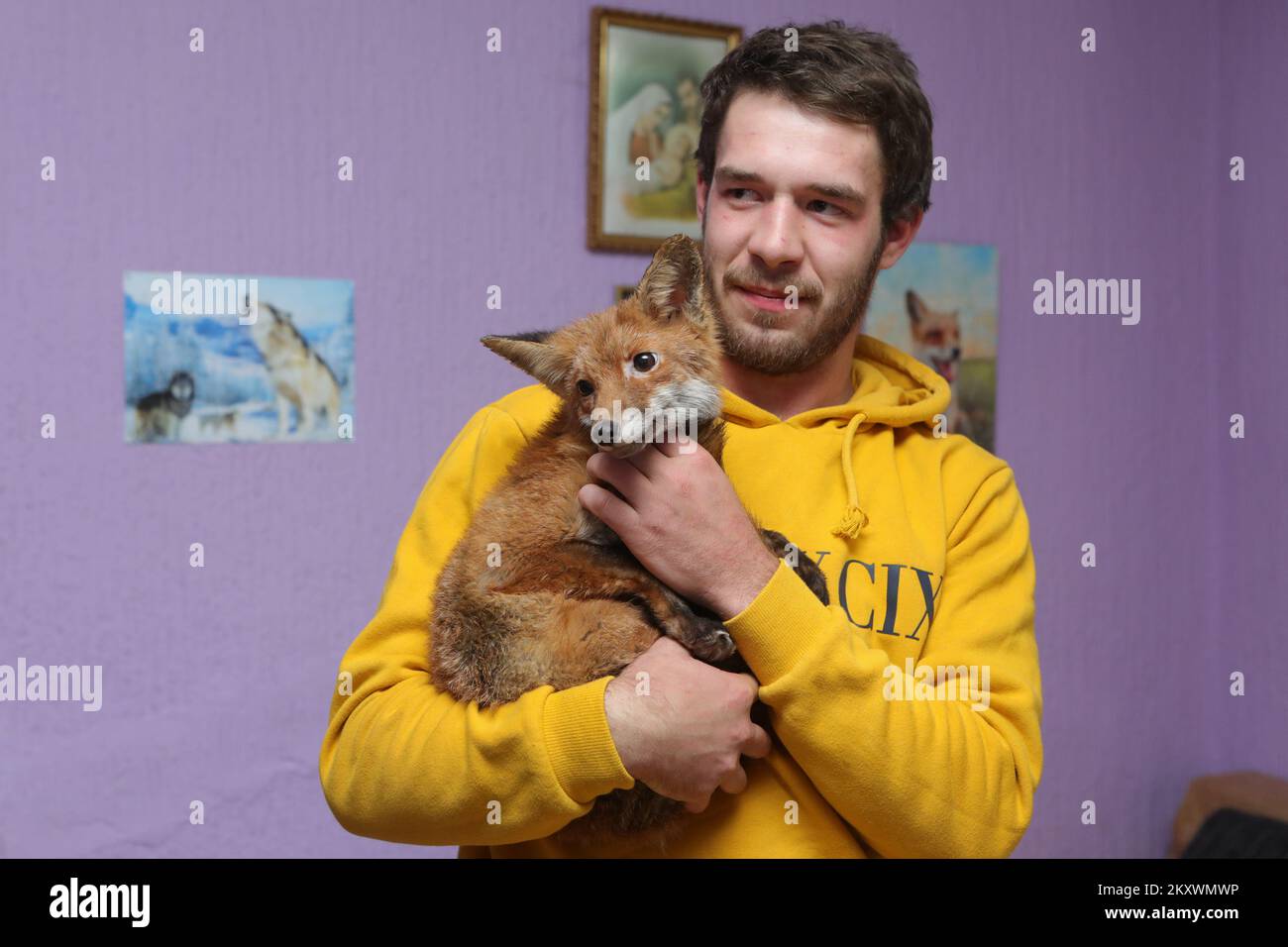 Dog looks like owner hi-res stock photography and images - Alamy