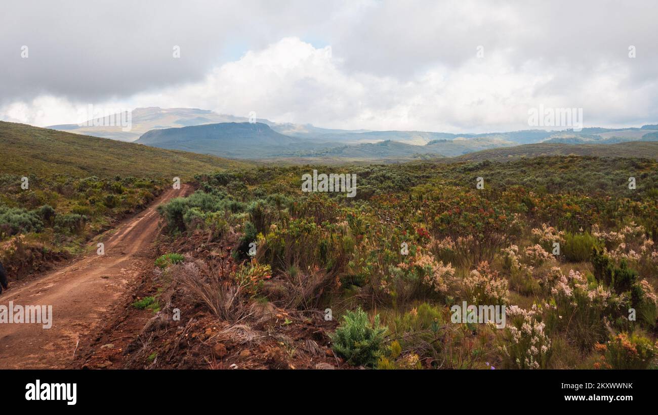 A dirt road against a mountain background at Chogoria Route, Mount ...
