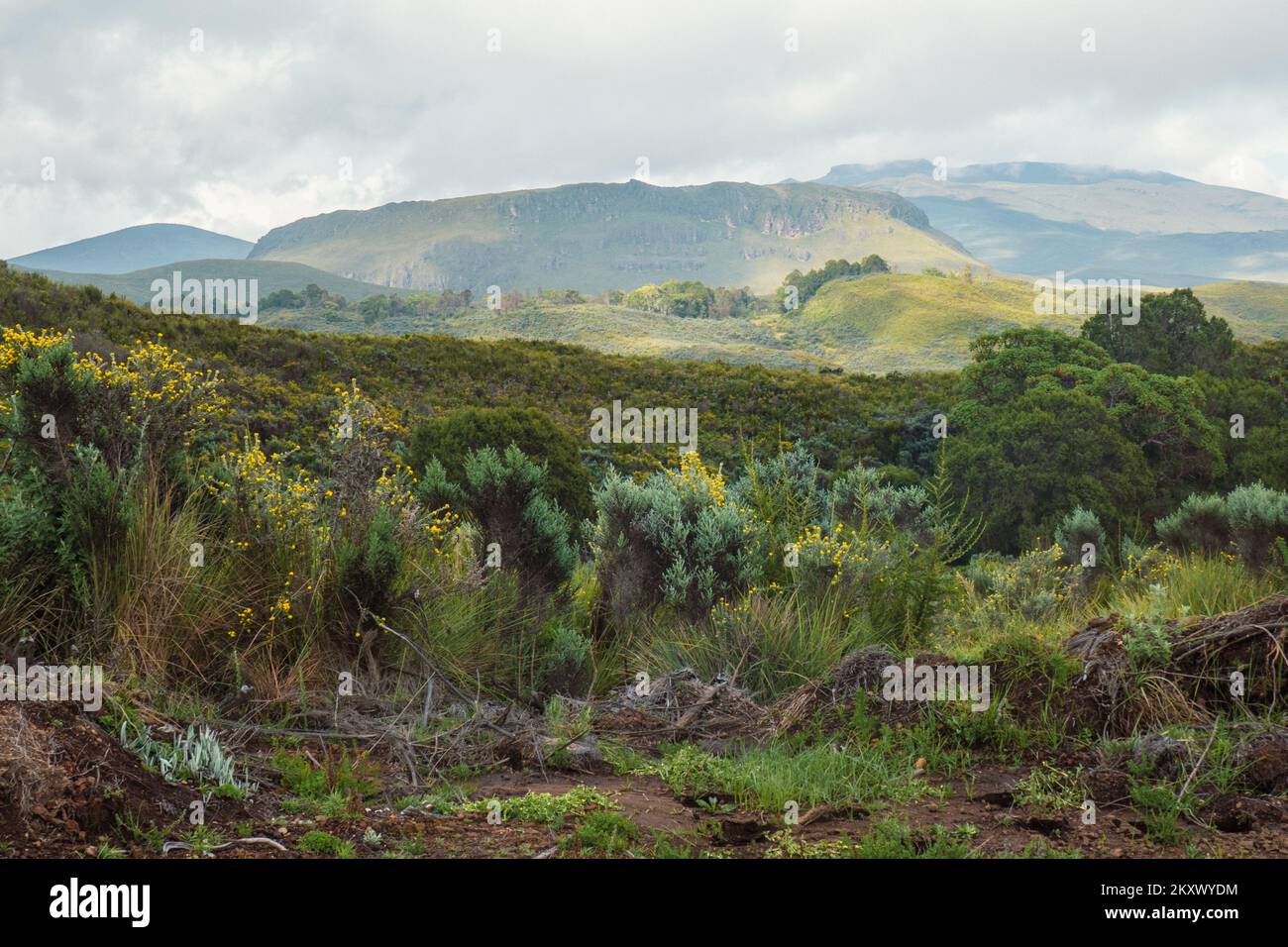 Scenic view of mountain landscapes against sky at Chogoria Route, Mount ...
