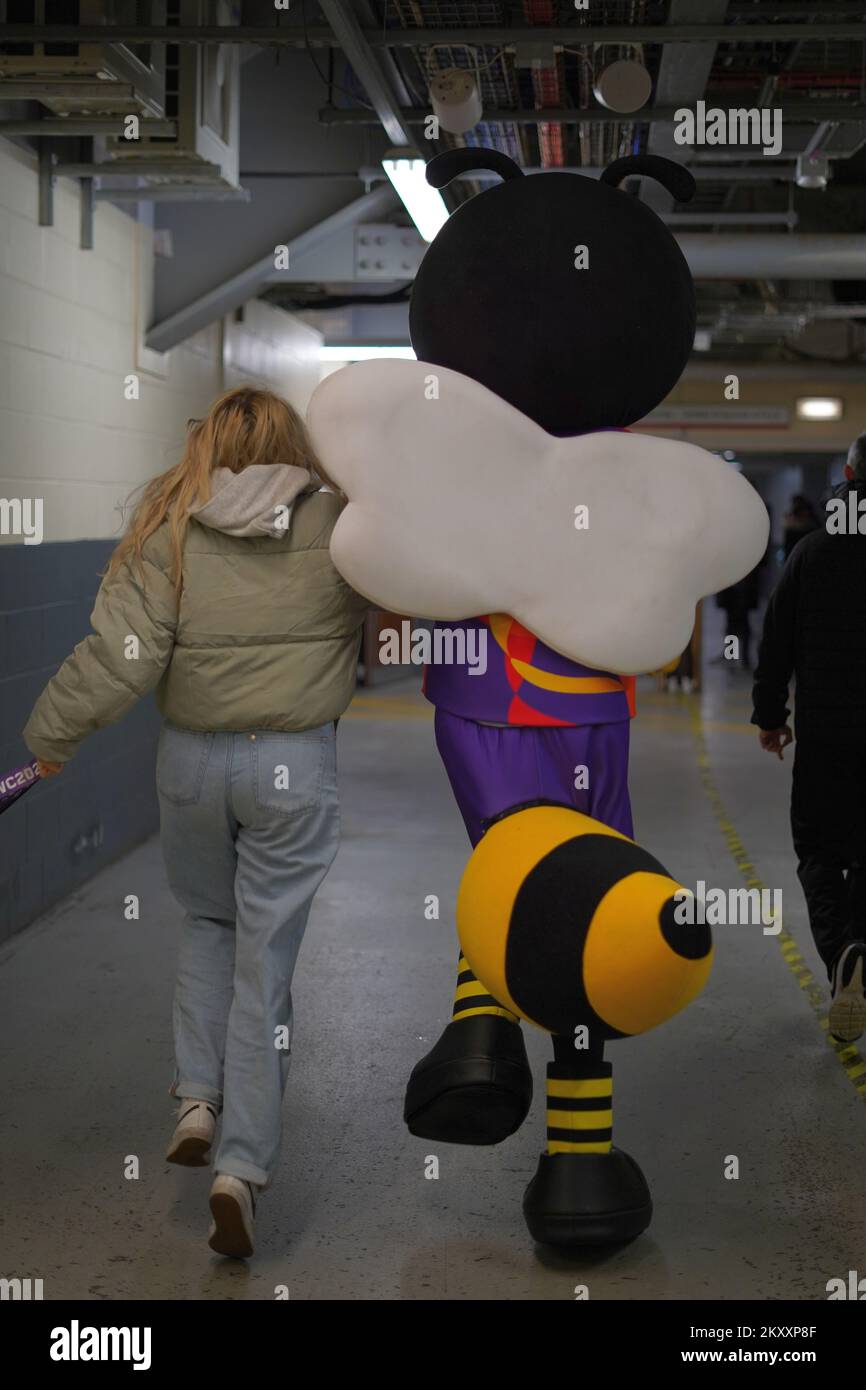 Rugby League world cup mascot RugBee meeting fans at Scotland V ...