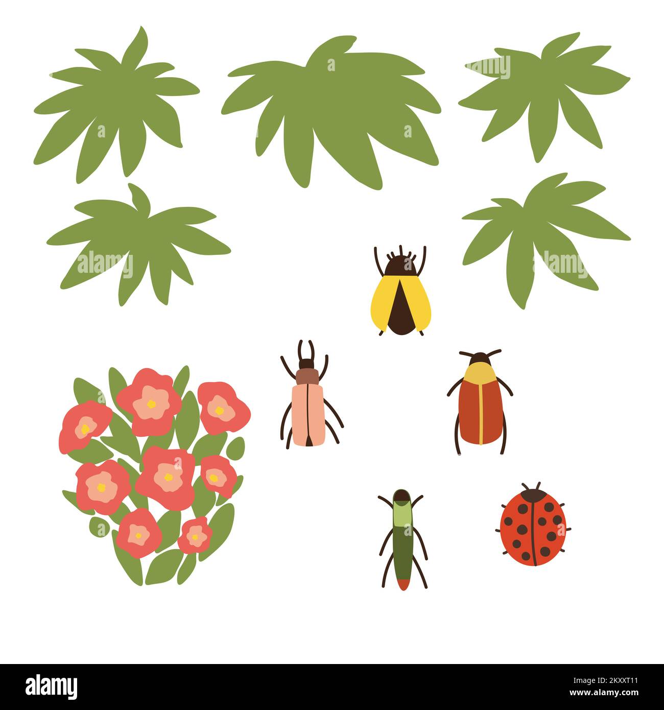 Tropical tree leaves, red flowers and beetles isolated on white ...
