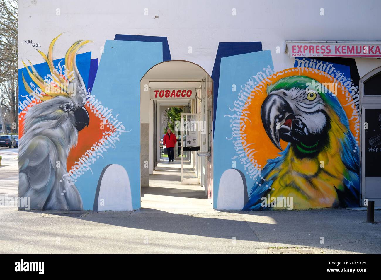 Parrot murals can be seen in the Zagreb neighborhood of Voltino in ...