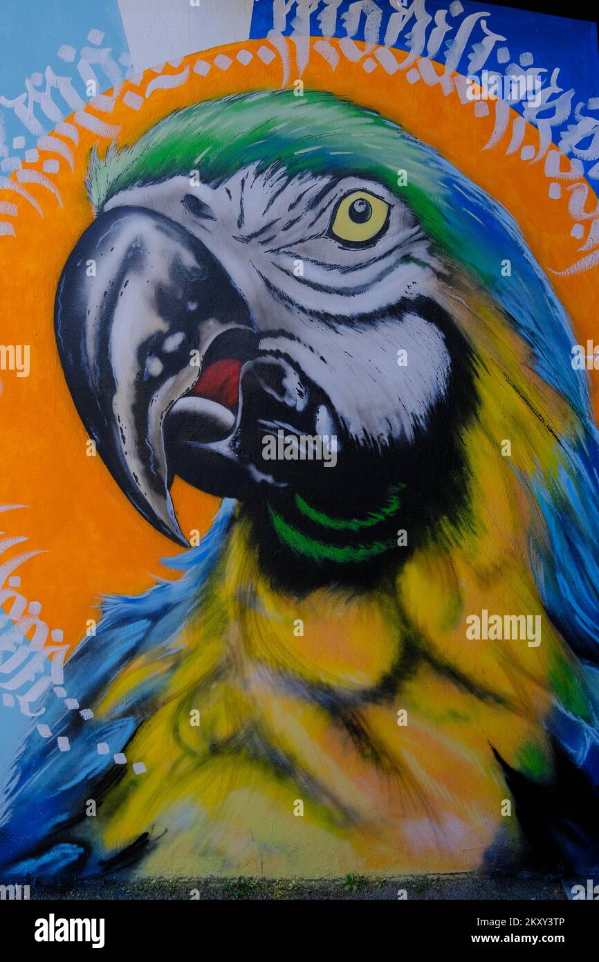 Parrot murals can be seen in the Zagreb neighborhood of Voltino in ...