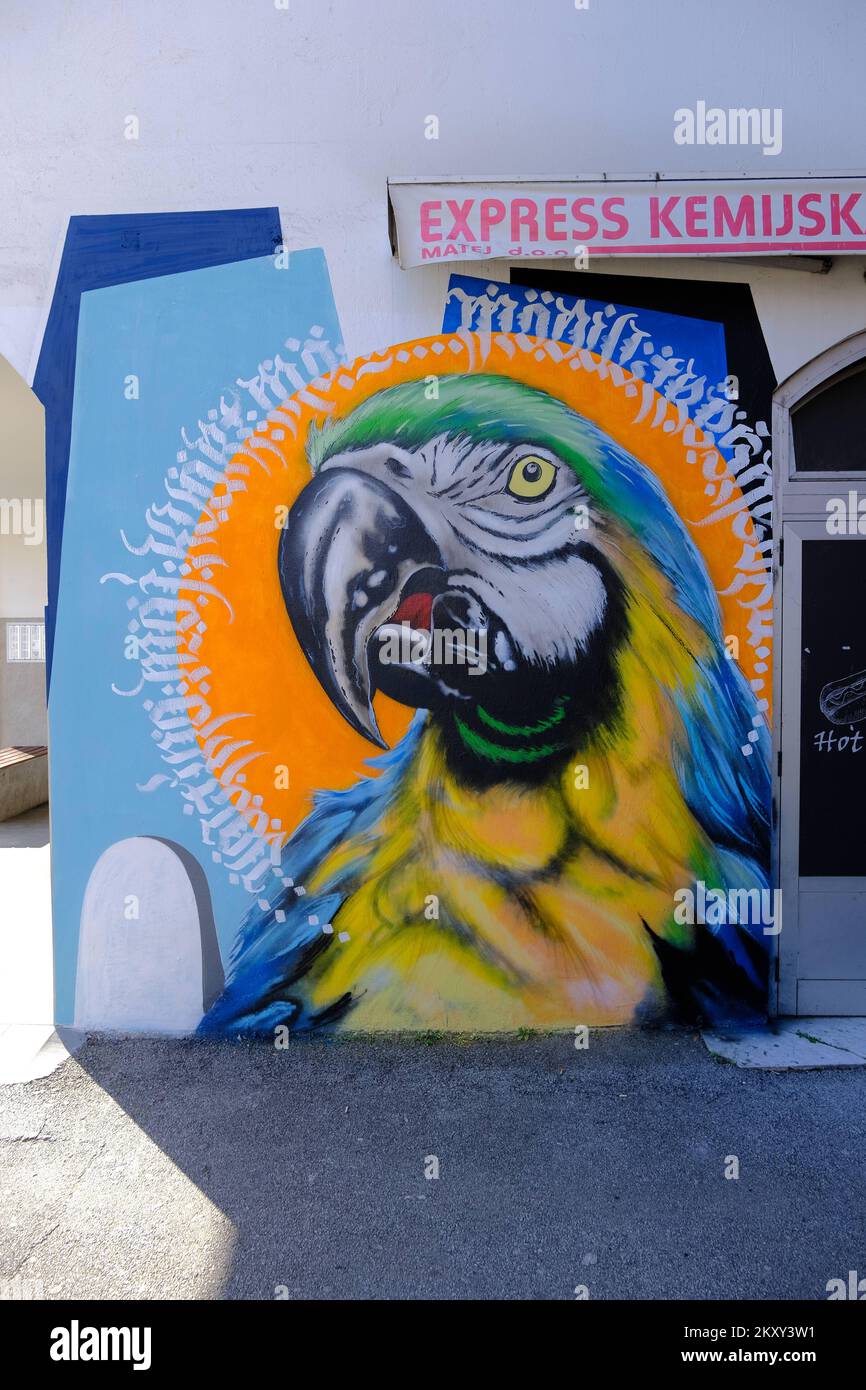 Parrot murals can be seen in the Zagreb neighborhood of Voltino in ...