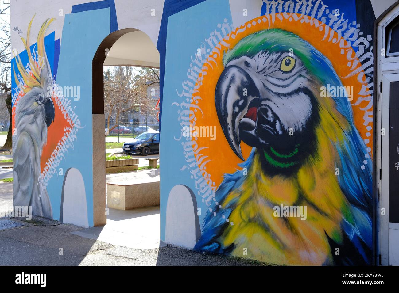 Parrot murals can be seen in the Zagreb neighborhood of Voltino in ...