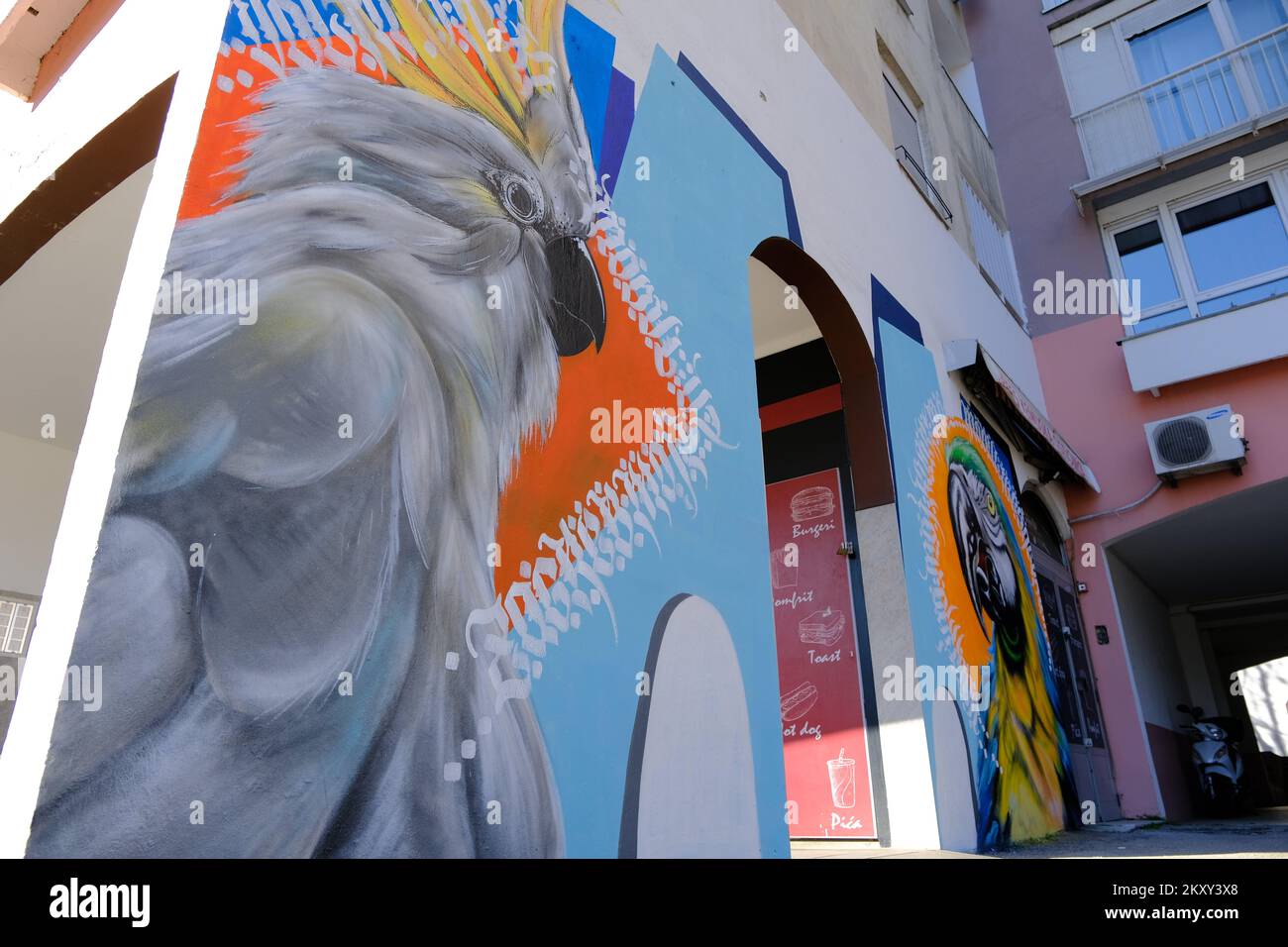 Parrot murals can be seen in the Zagreb neighborhood of Voltino in ...