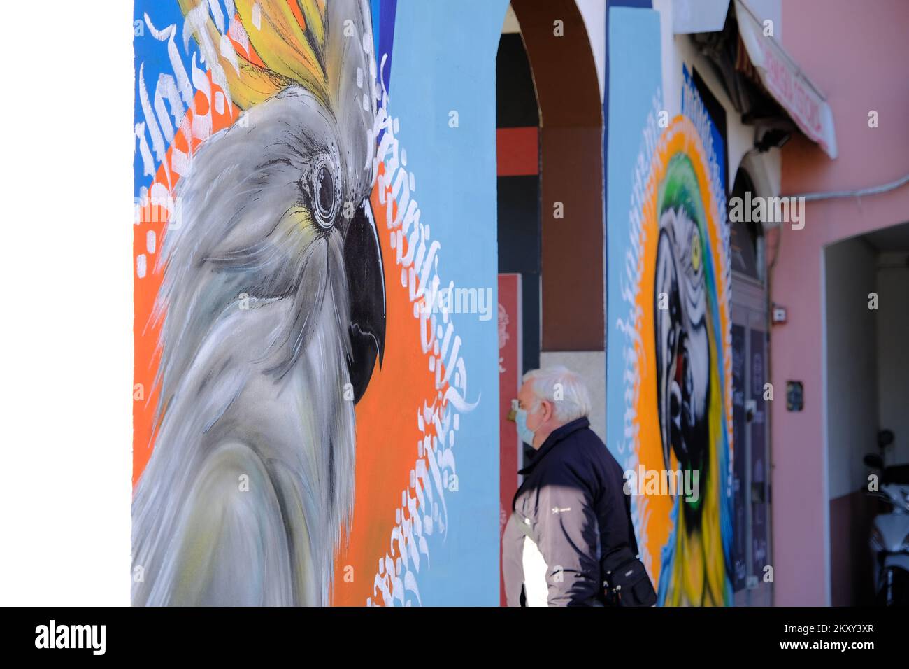 Parrot murals can be seen in the Zagreb neighborhood of Voltino in ...