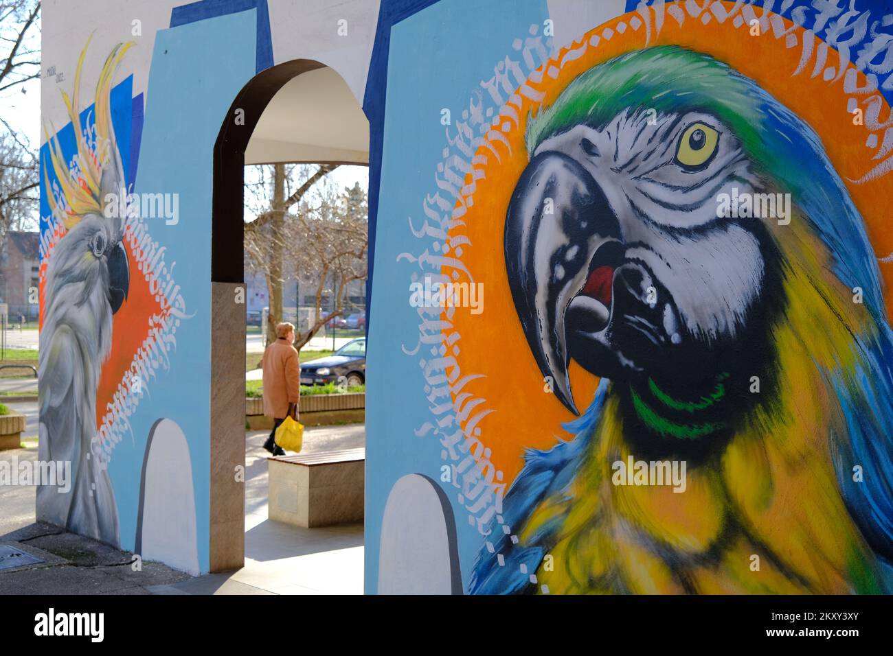 Parrot murals can be seen in the Zagreb neighborhood of Voltino in ...