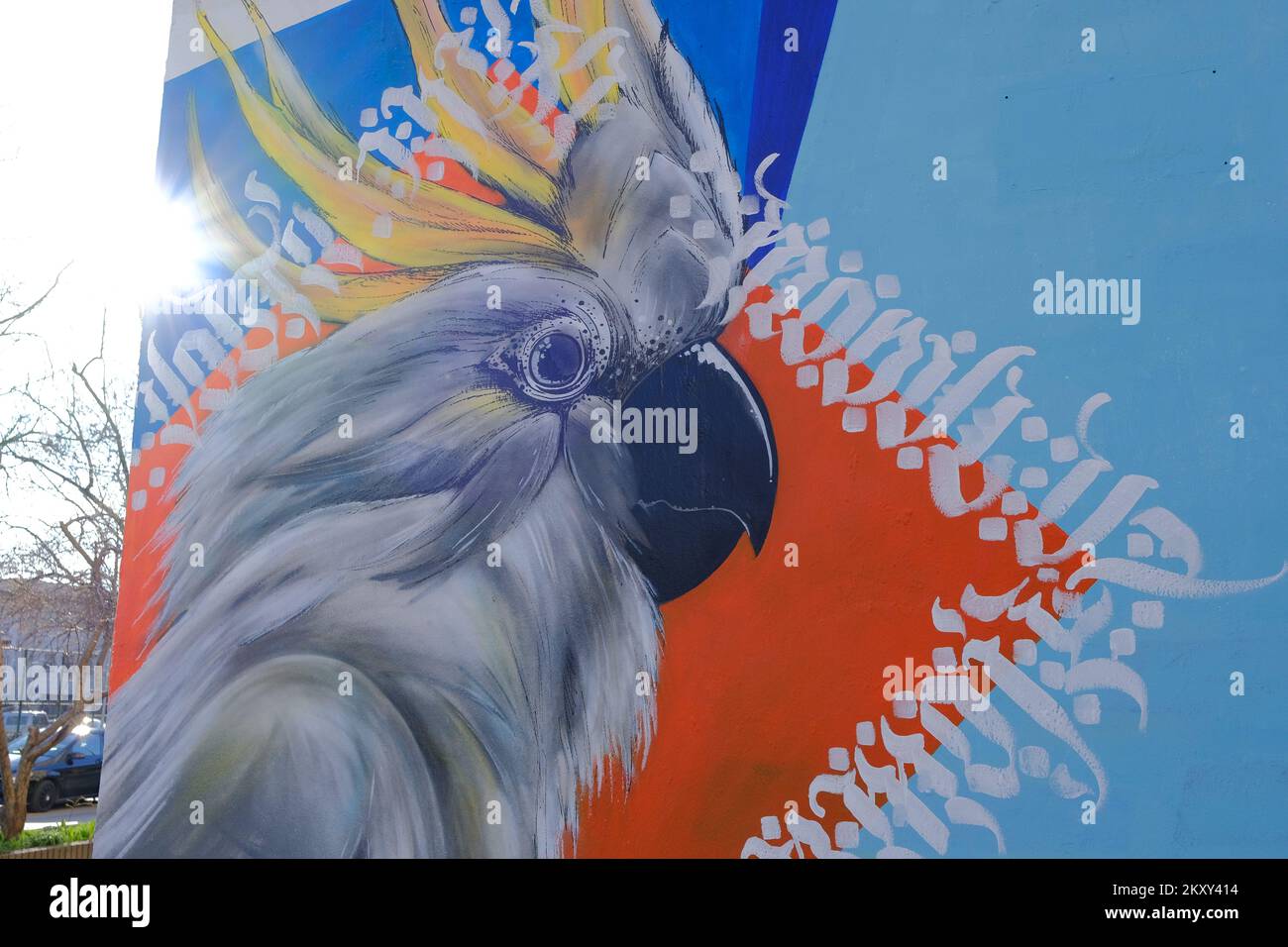 Parrot murals can be seen in the Zagreb neighborhood of Voltino in ...