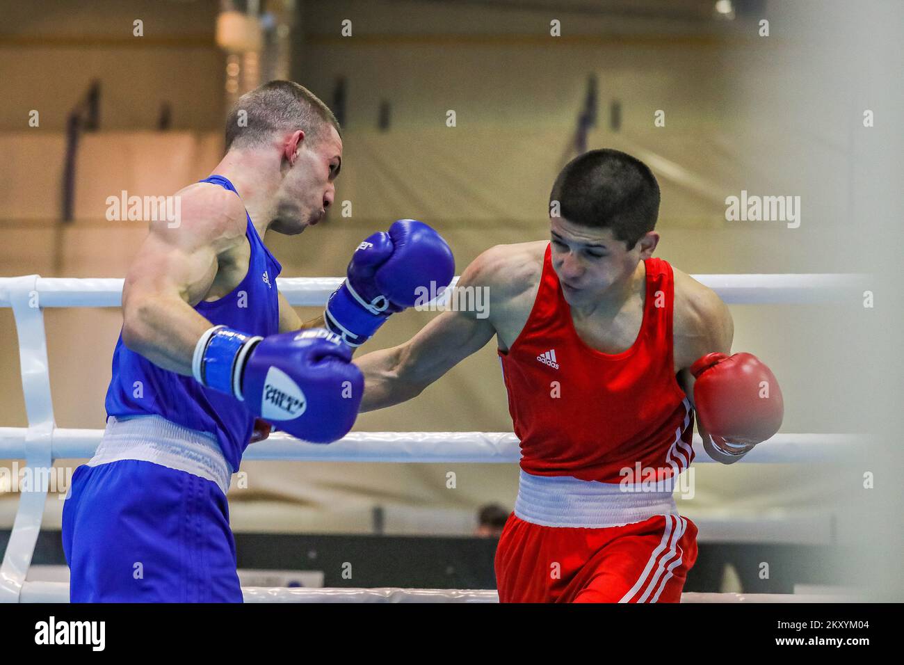 Eubc boxing hi-res stock photography and images - Alamy