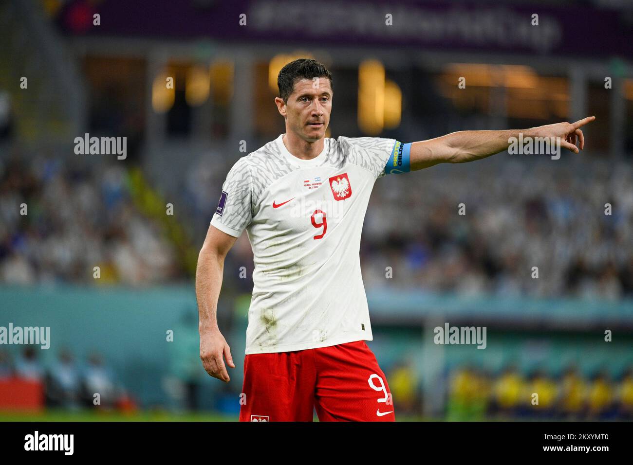 Doha, Qatar. 30th Nov, 2022. Robert Lewandowski of Poland during a ...