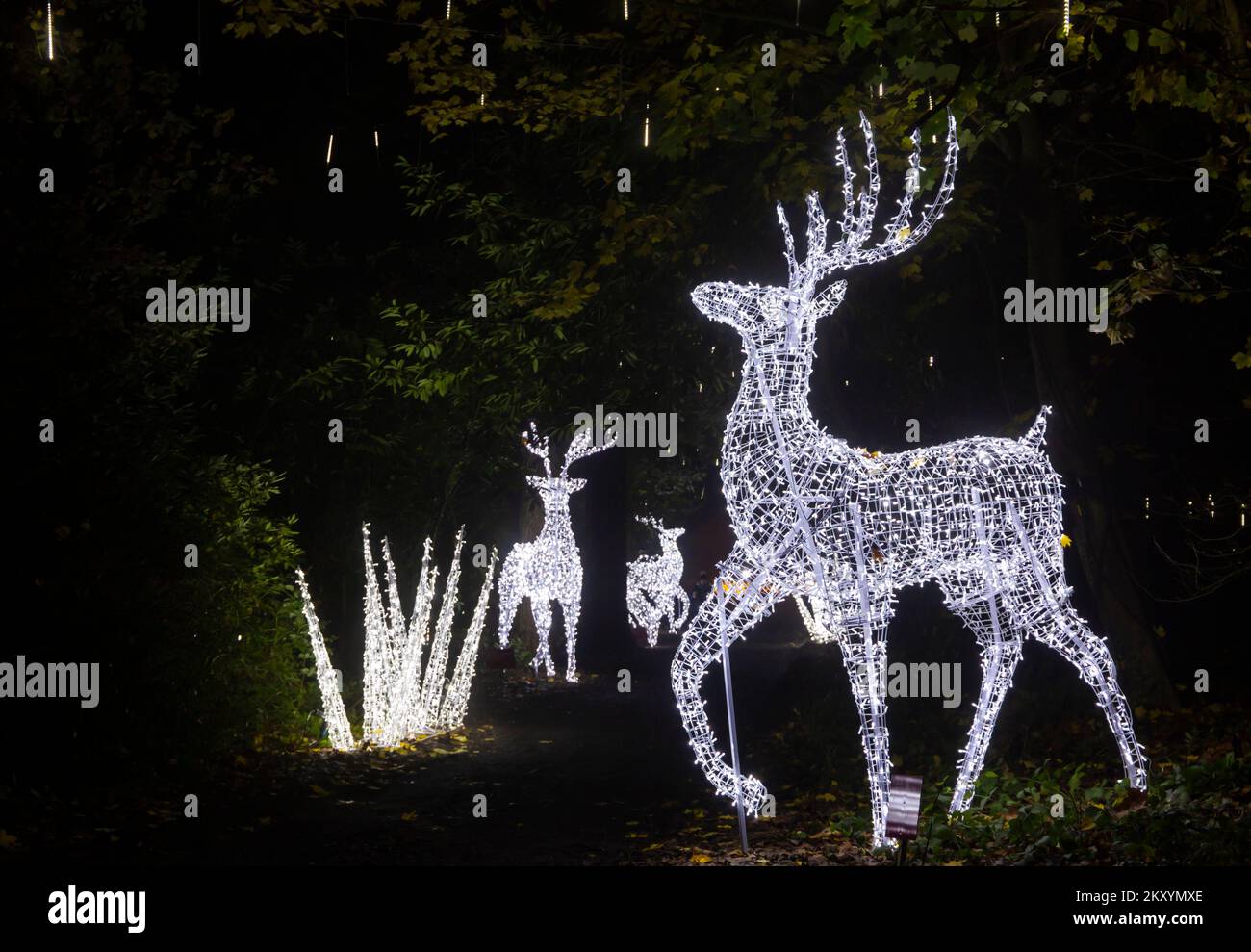 Large scale light art installations hi-res stock photography and images ...