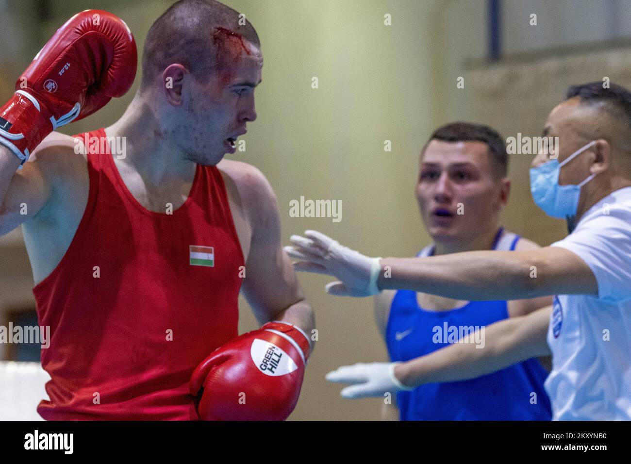 Gerzsenyi hi-res stock photography and images - Alamy