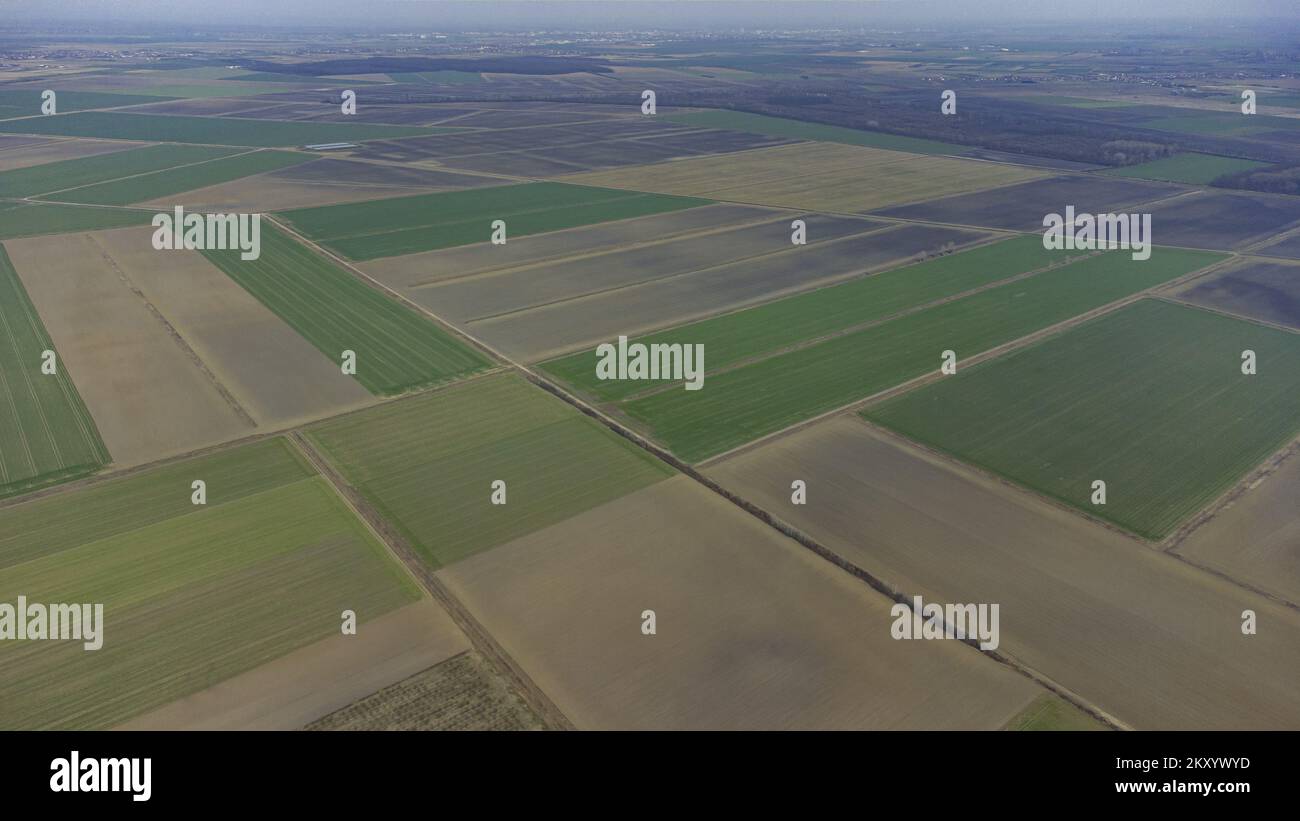 Aerial photo taken on March 16, 2022 shows wheat field in the ...