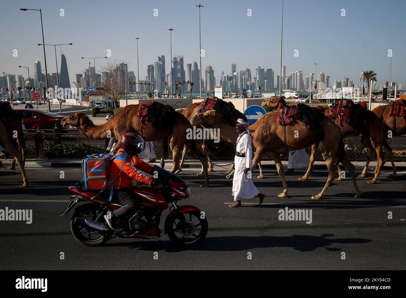 Camels and its owners can be seen on the photo in Doha, Qatar on March ...