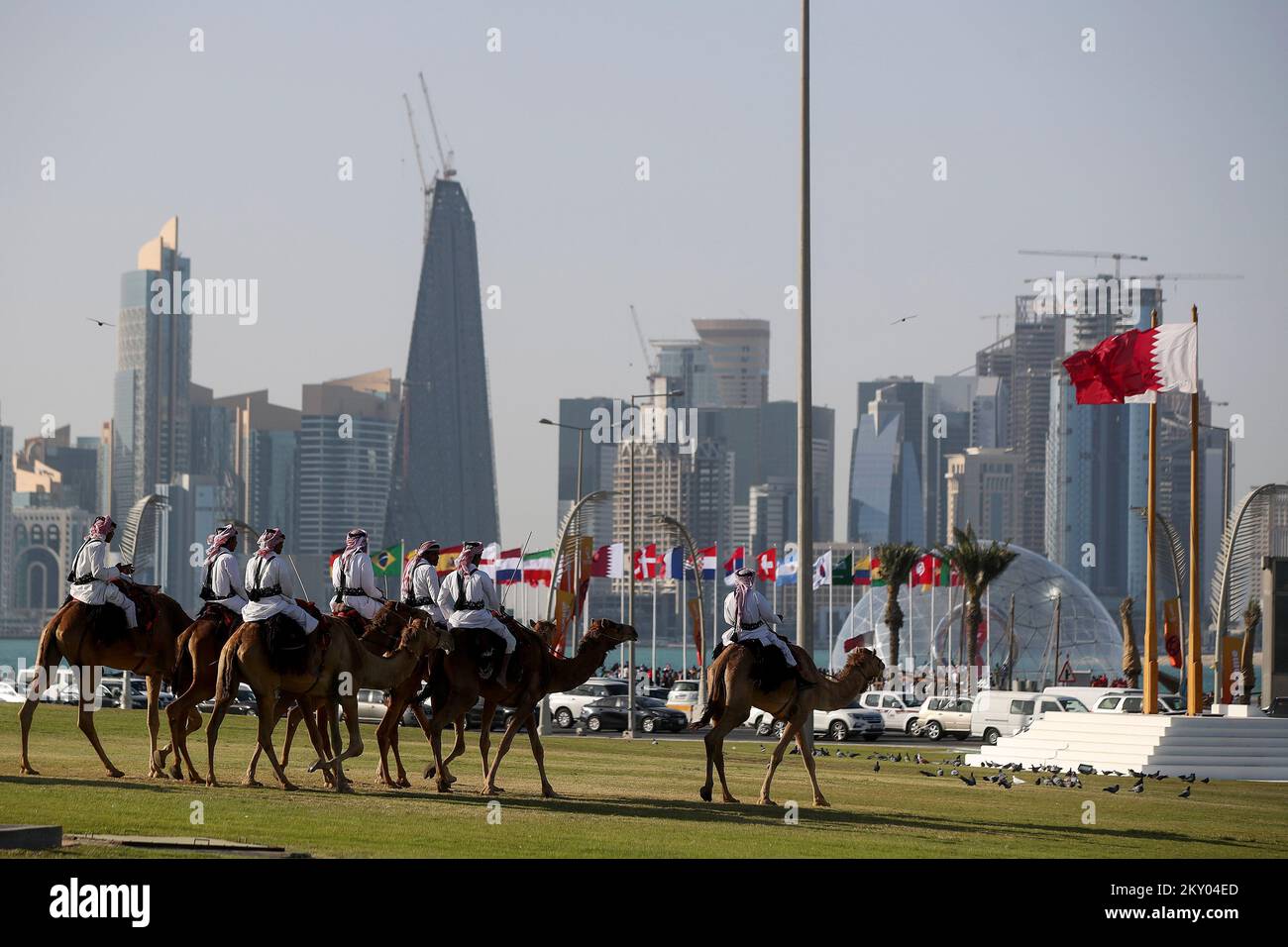 Camels and its owners can be seen on the photo in Doha, Qatar on March ...