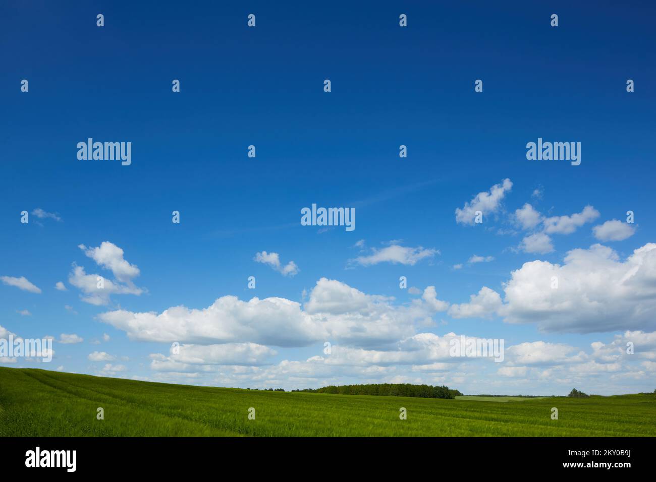 Panorama of daytime sky with clouds. Sky background, daylight sky with ...