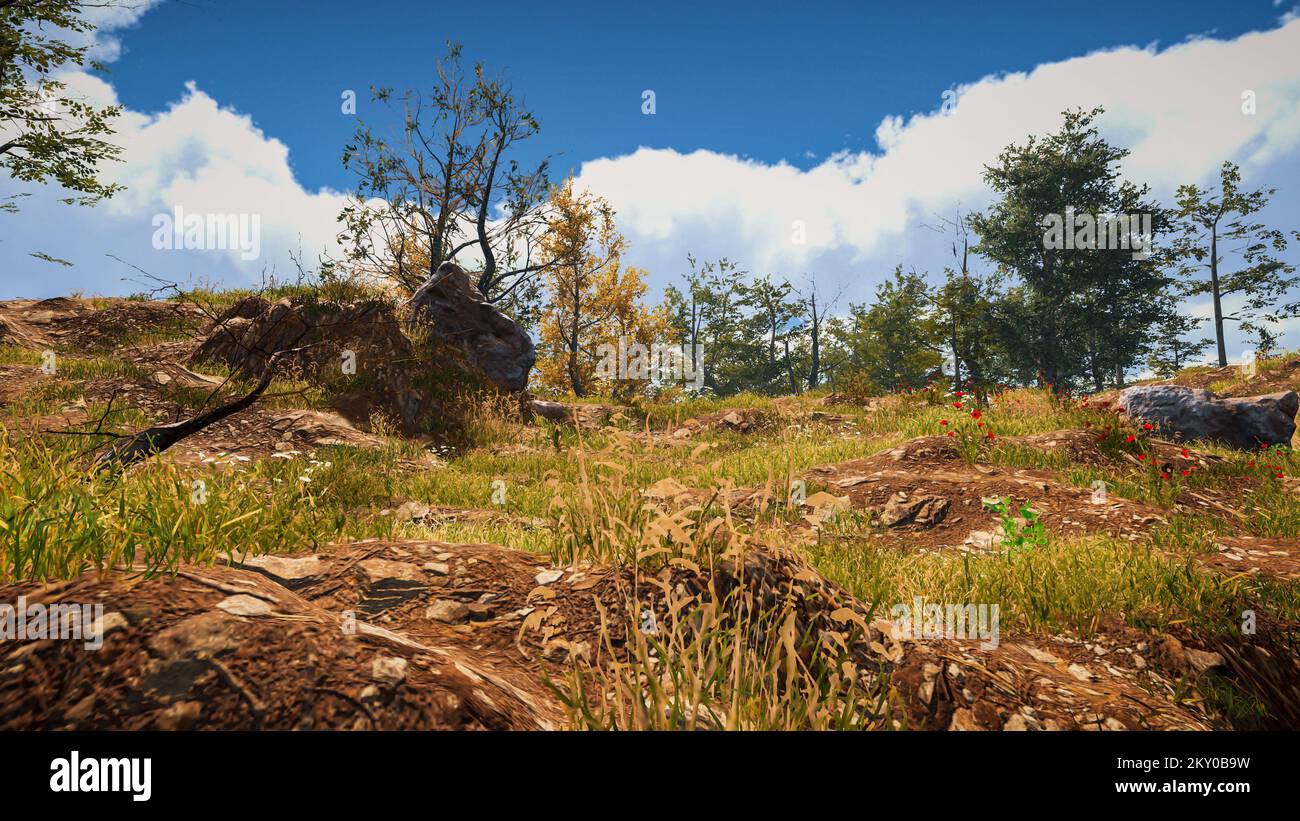 3D rendering. An immersive natural environment. Landscape to illustrate ...