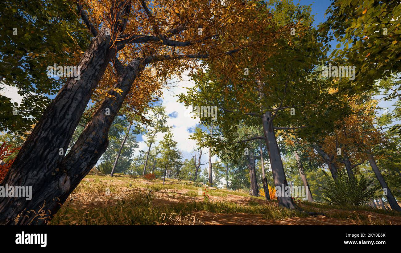 3D rendering. An immersive natural environment. Landscape to illustrate ...