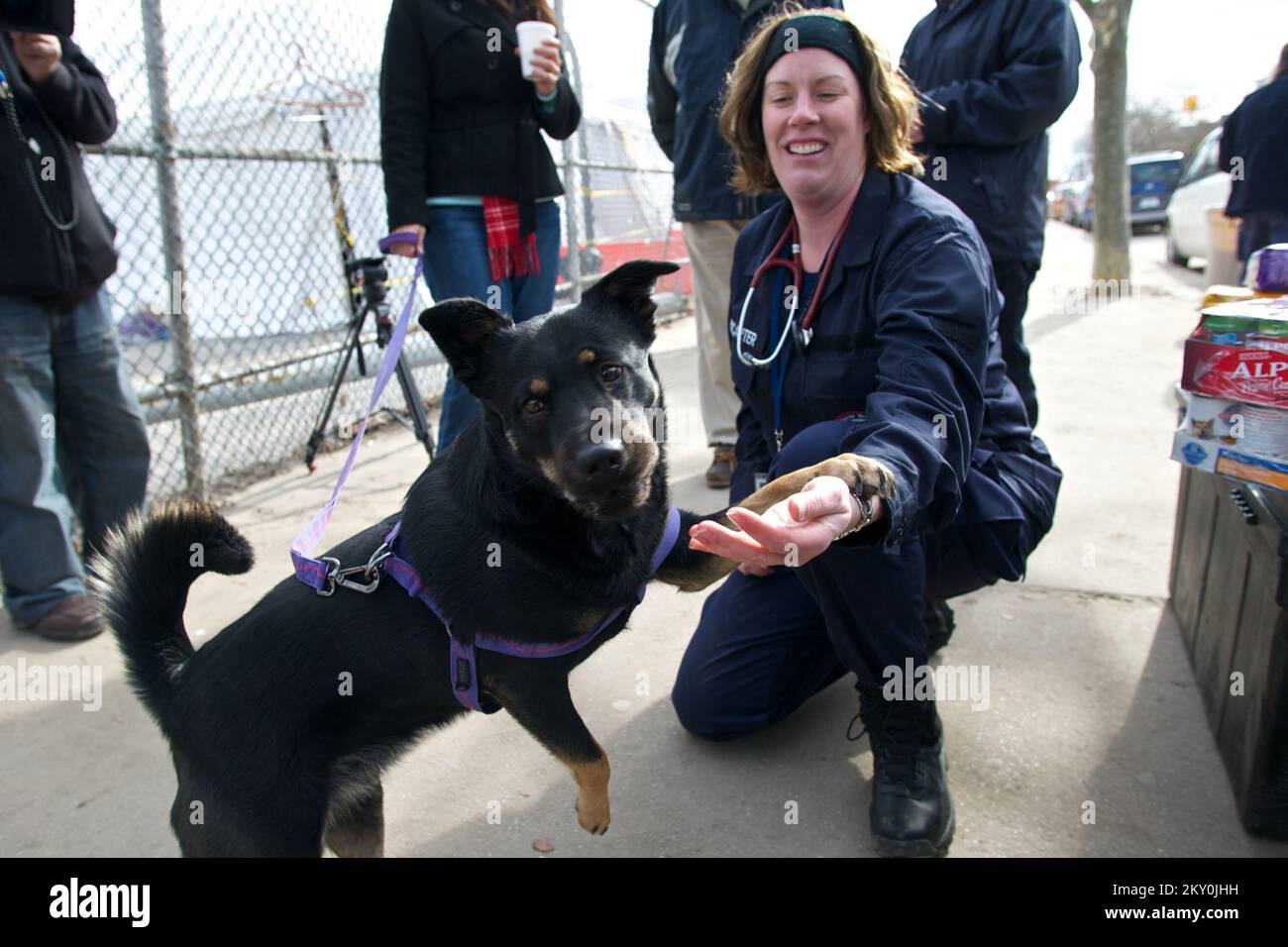 Rockaway, N.Y., Nov. 16, 2012 A National Veterinary Response Team from ...