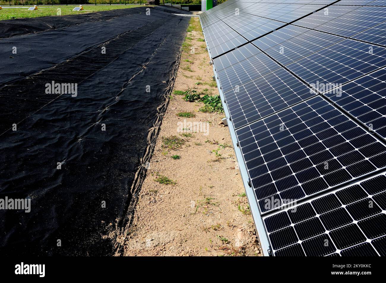 solar panels, solar, energy, renewable, power, recovery, business ...