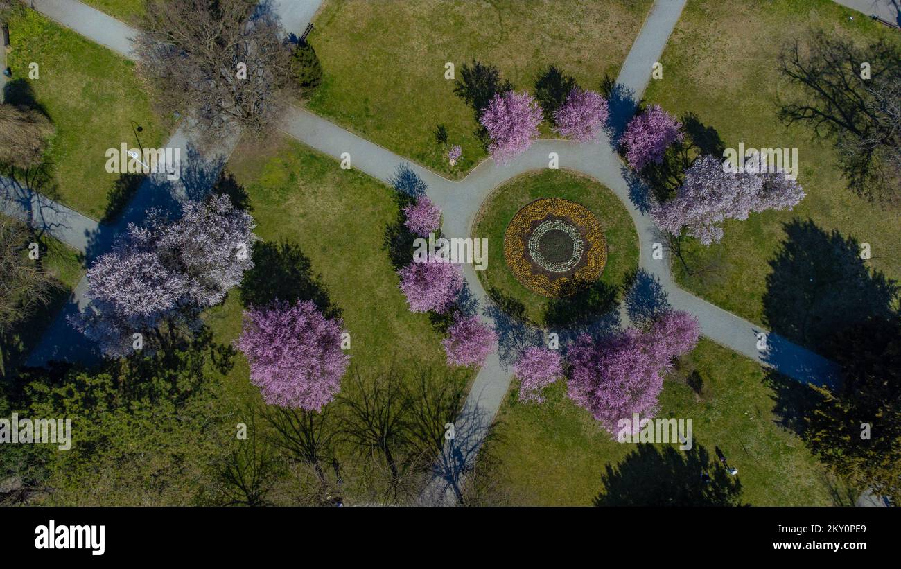 An aerial view shows a blossom trees at Petra Kresimira IV Park in ...