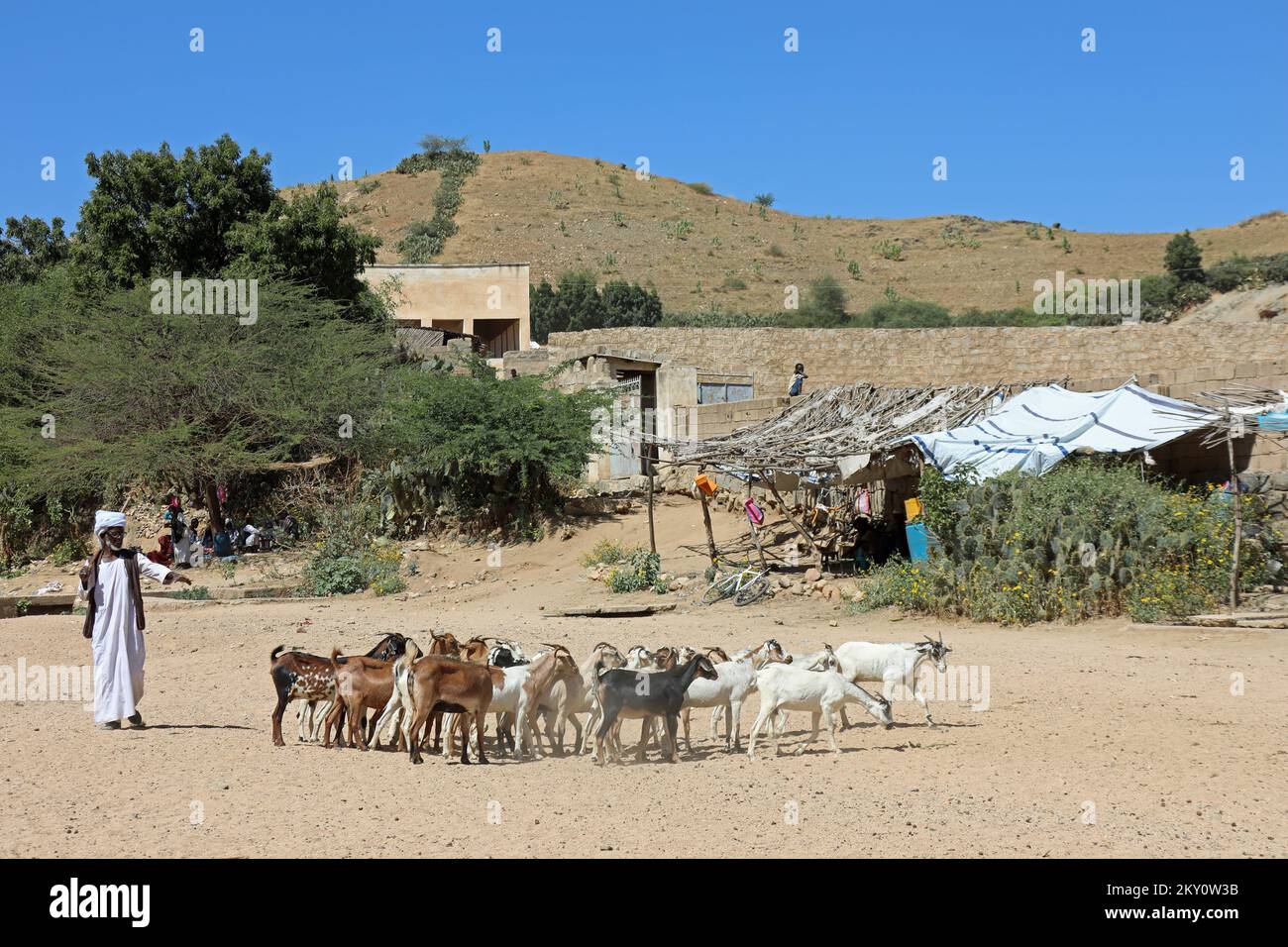 Keren livestock market in the Eritrean Highlands Stock Photo - Alamy