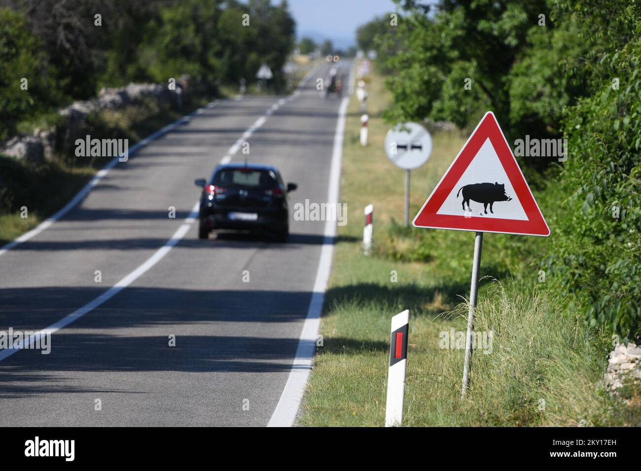 Wild boar warning traffic sign is seen in Sibenik, Croatia on June 01 ...