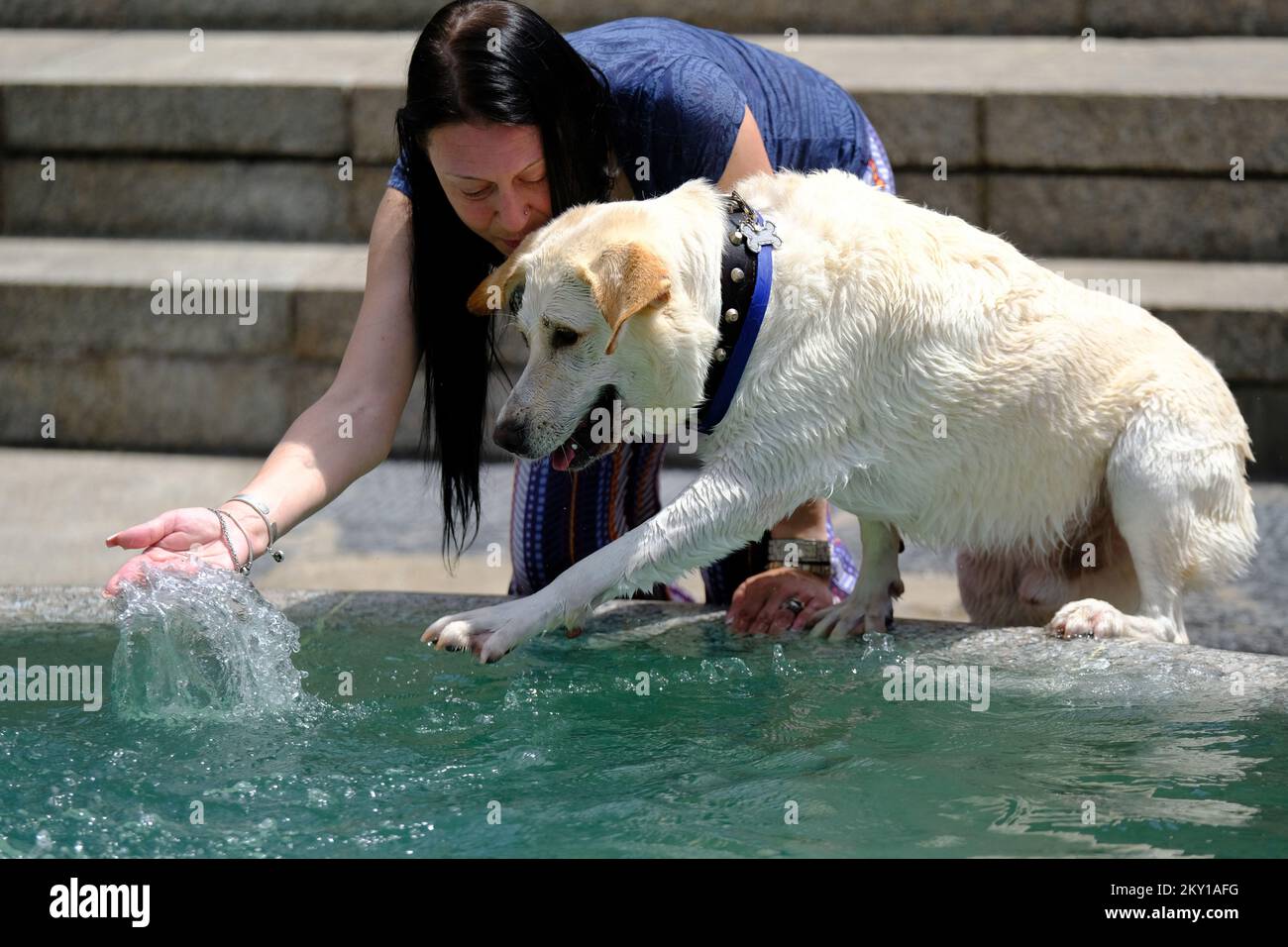 Voda dog hi-res stock photography and images - Alamy