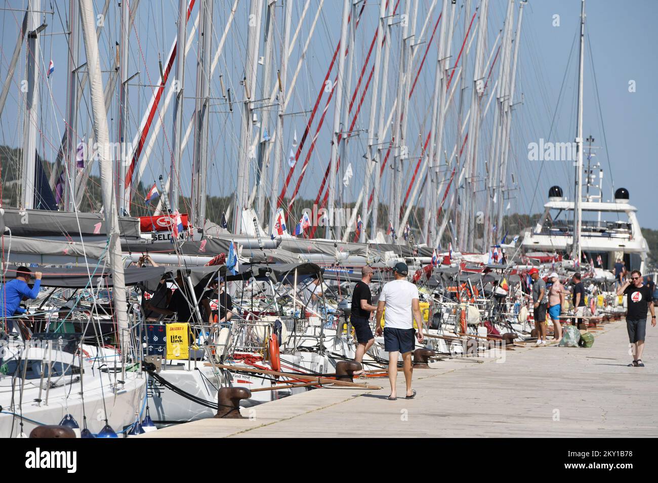 A large number of sailboats tied down at the port in Sibenik on June 6 ...