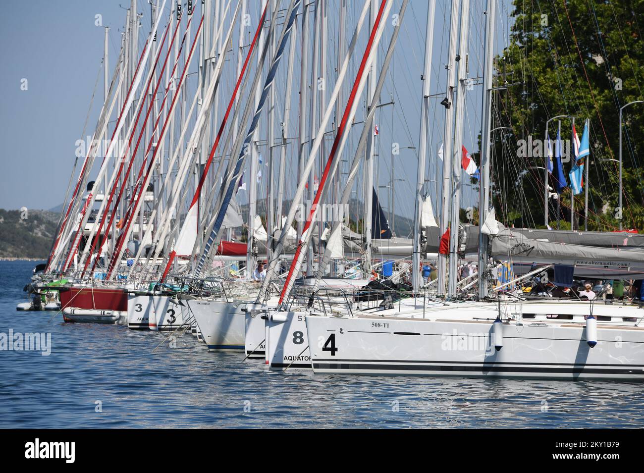 A large number of sailboats tied down at the port in Sibenik on June 6 ...