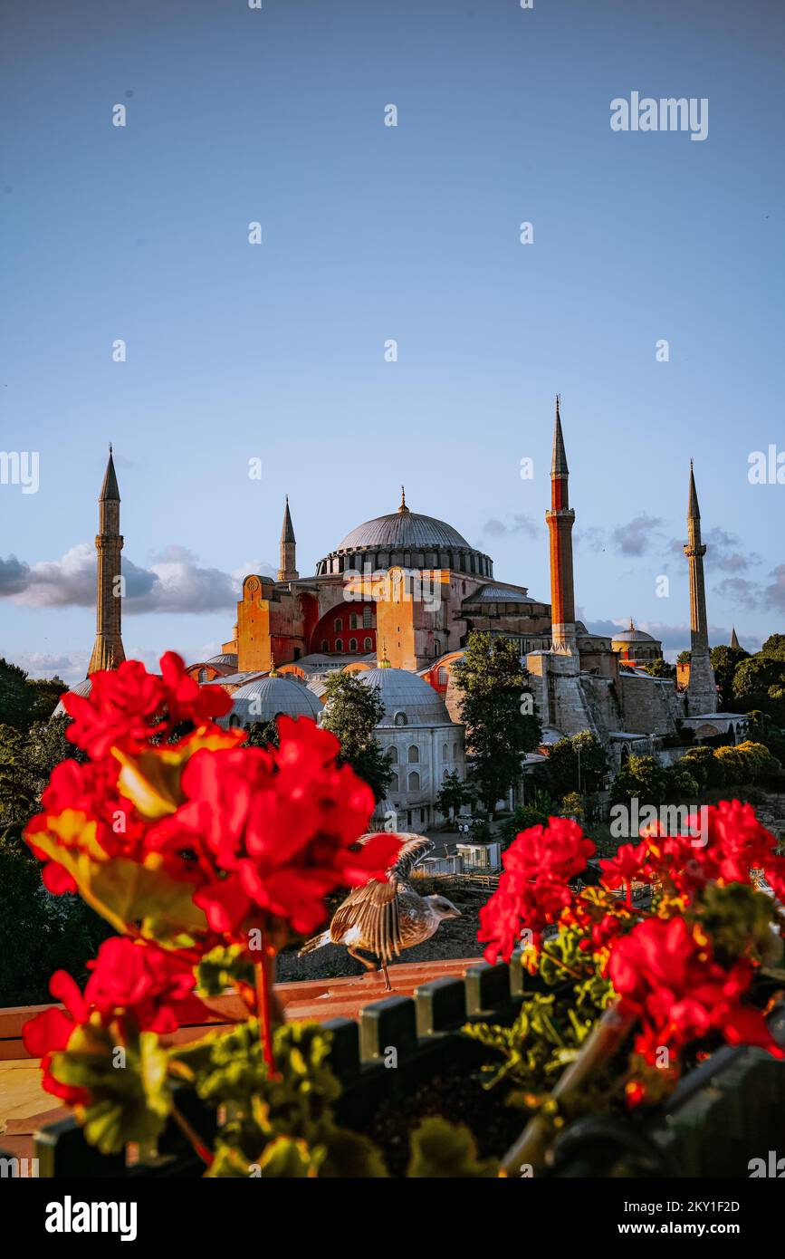 Sunny day architecture and Hagia Sophia Mosque Museum, in Eminonu ...