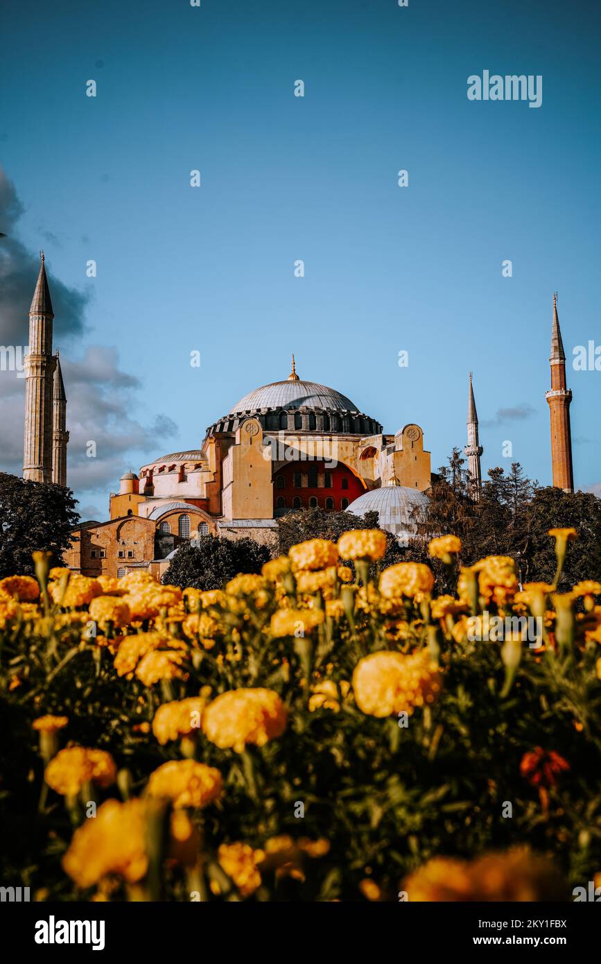 Sunny day architecture and Hagia Sophia Mosque Museum, in Eminonu ...