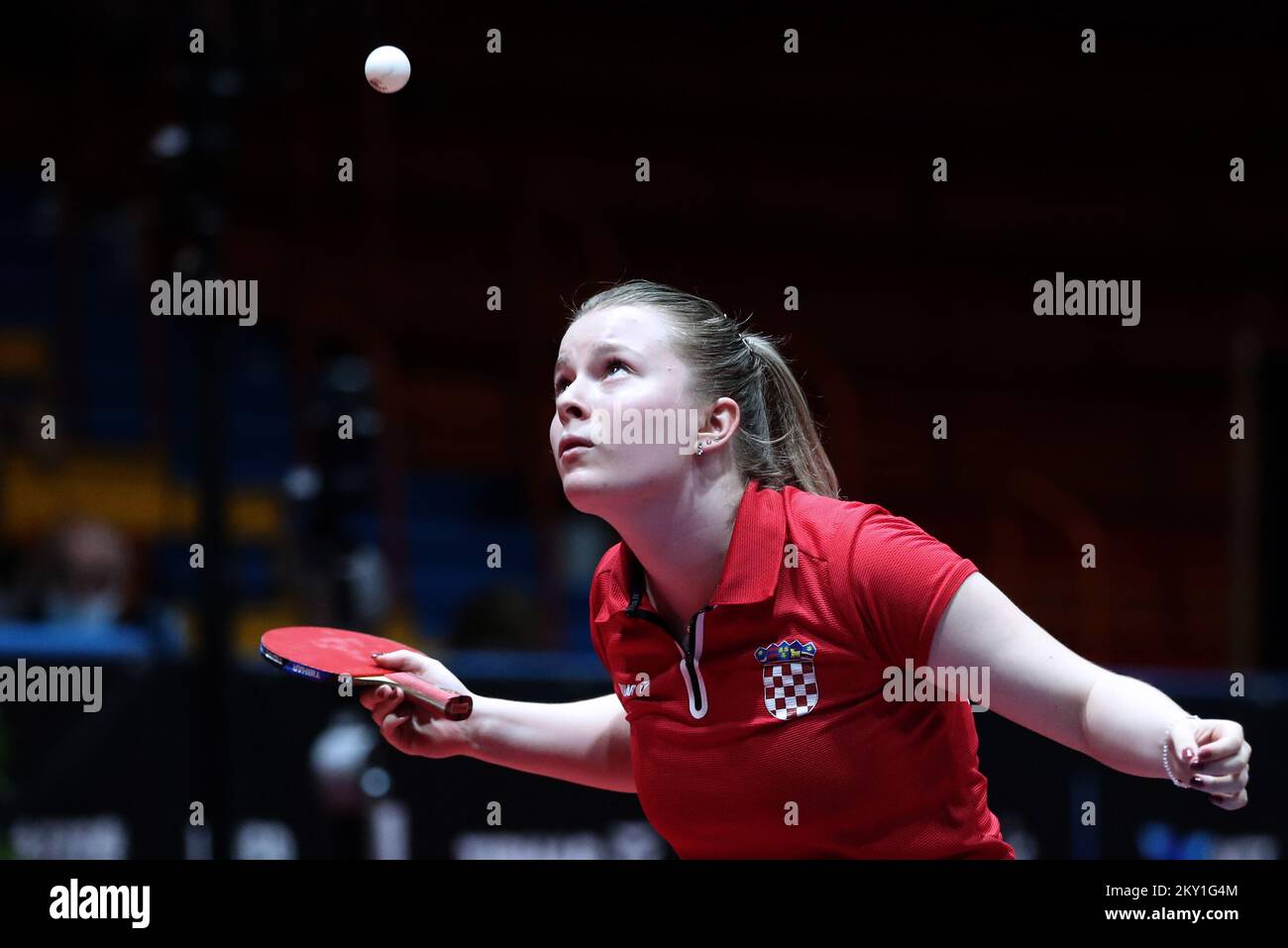 Hana arapovic hi-res stock photography and images - Alamy