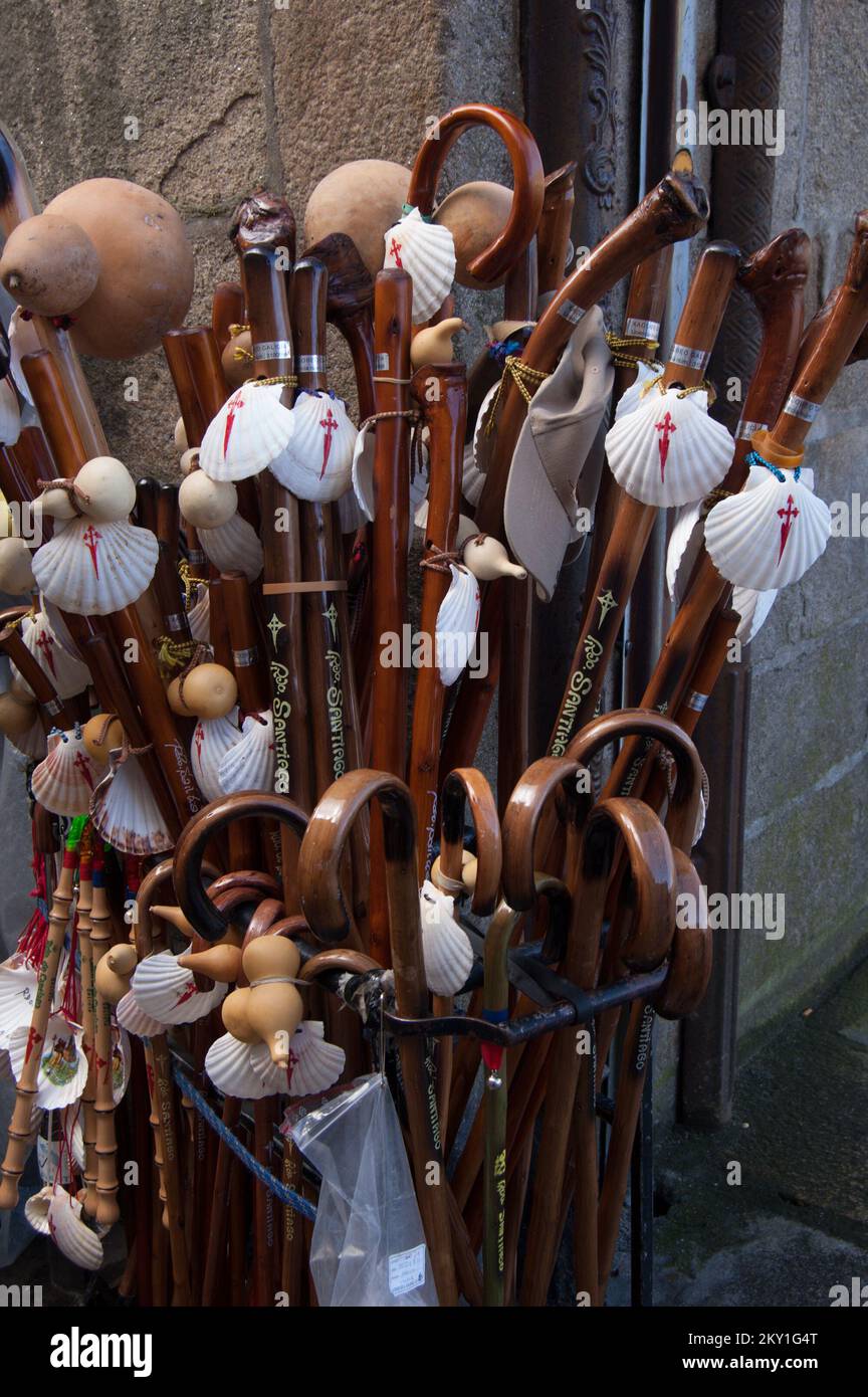 Traditional walking sticks with the pilgrim shell, symbol of Santiago ...