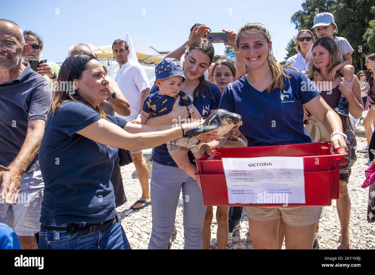 Loggerhead sea turtle Victoria was returned to the sea to mark World ...