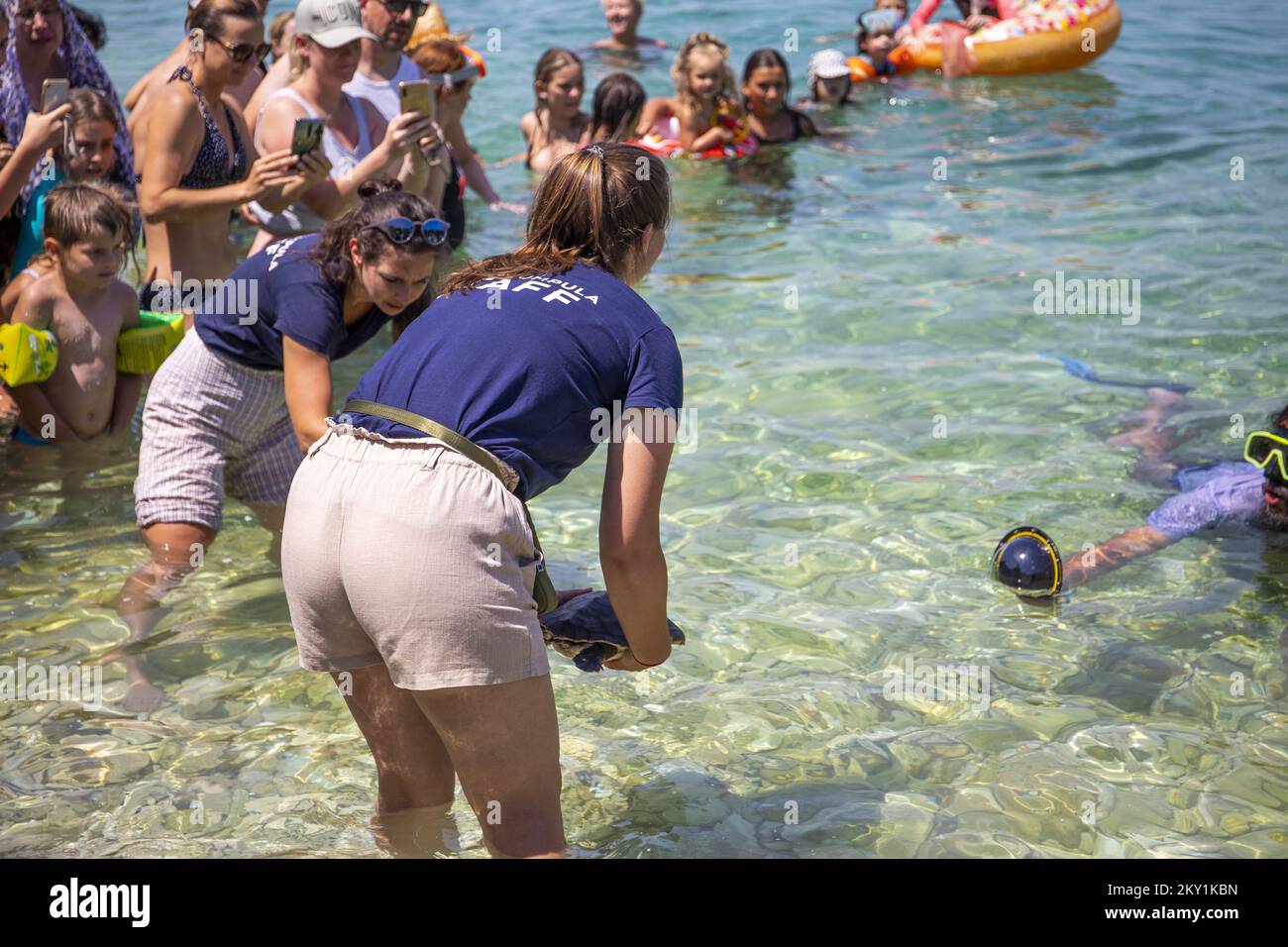 Loggerhead sea turtle Victoria was returned to the sea to mark World ...
